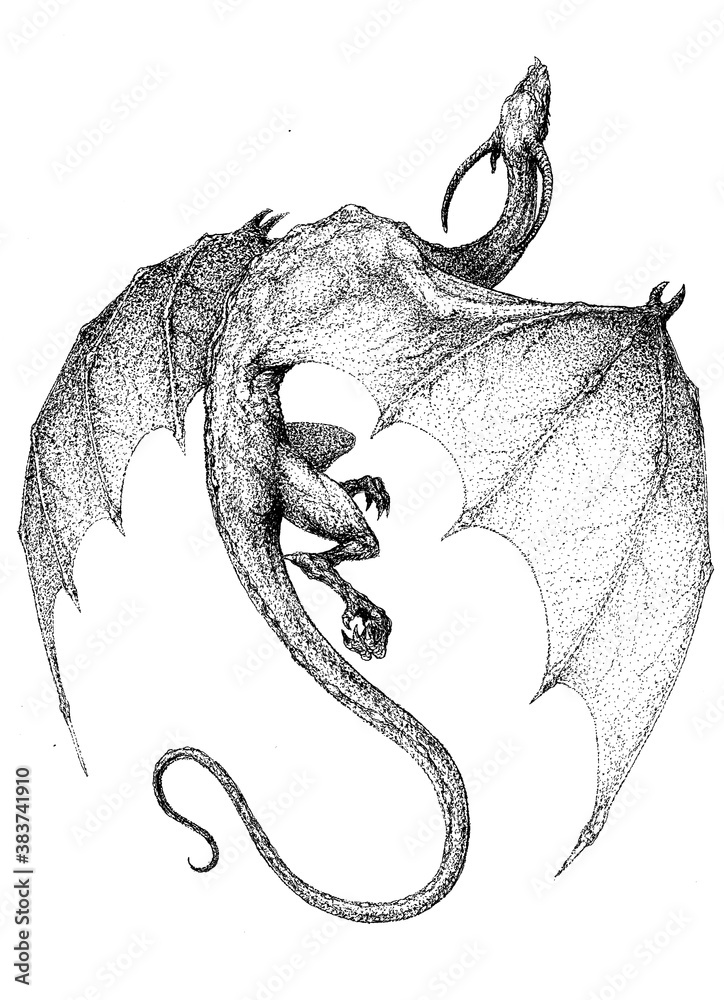 Outstretched Dragon Wings