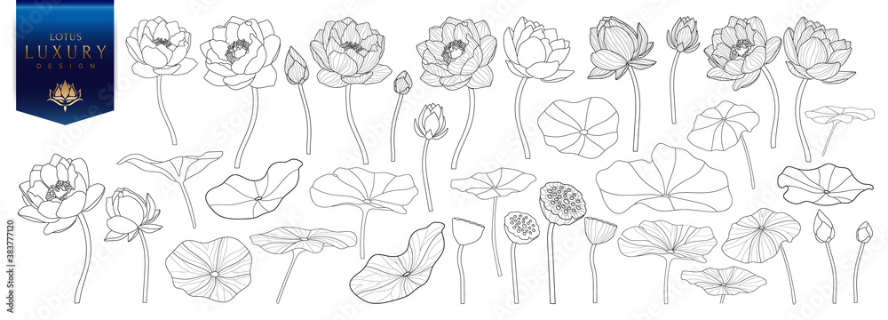 Lotus Vector element. lotus line arts design for packaging template ...