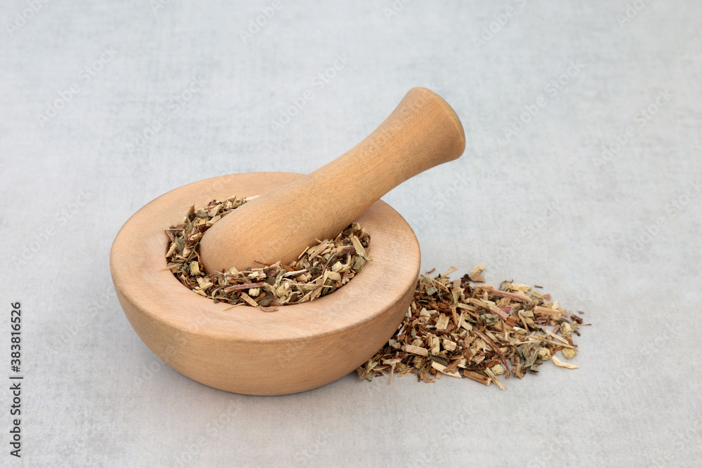 Grindelia herb used in herbal medicine to treat coughs, bronchitis ...