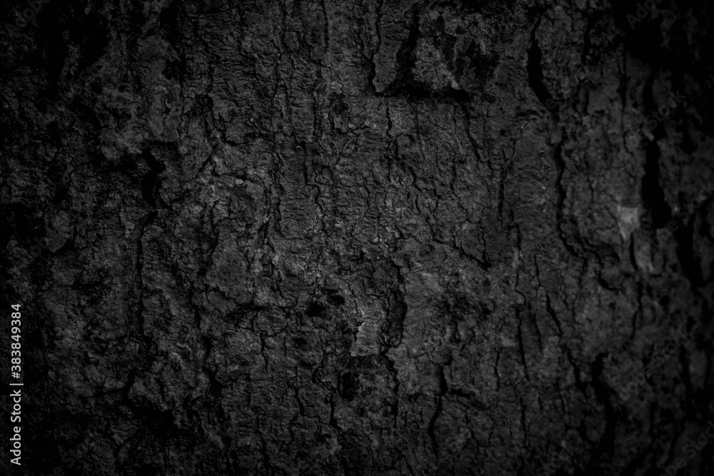 Black tree bark background Natural beautiful old tree bark texture ...