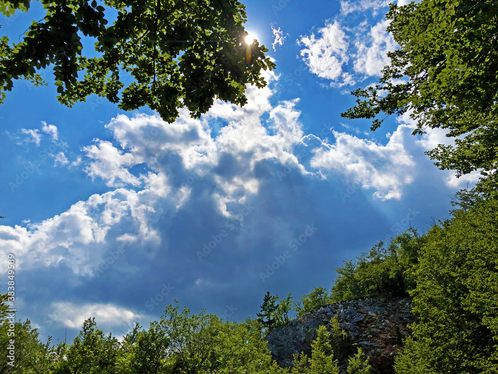 View of the sky and the sun's rays through the treetops in the Ucka ...