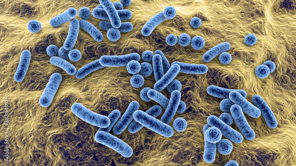 Rod-shaped bacteria and cocci Stock Illustration | Adobe Stock