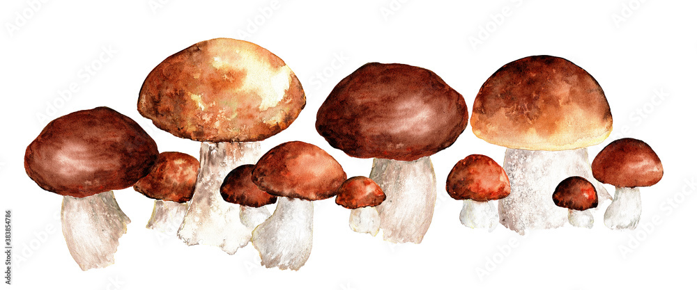 realistic style mushroom illustration template for design. illustration ...