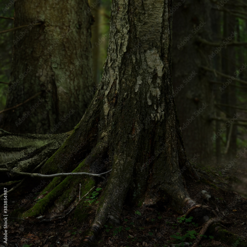 Skull in tree bark texture. Halloween background. Mysterious weird ...
