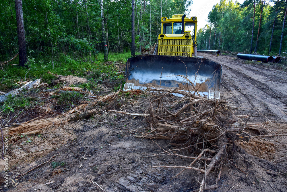 Dozer during earthwork for laying Crude oil and Natural gas pipeline in ...