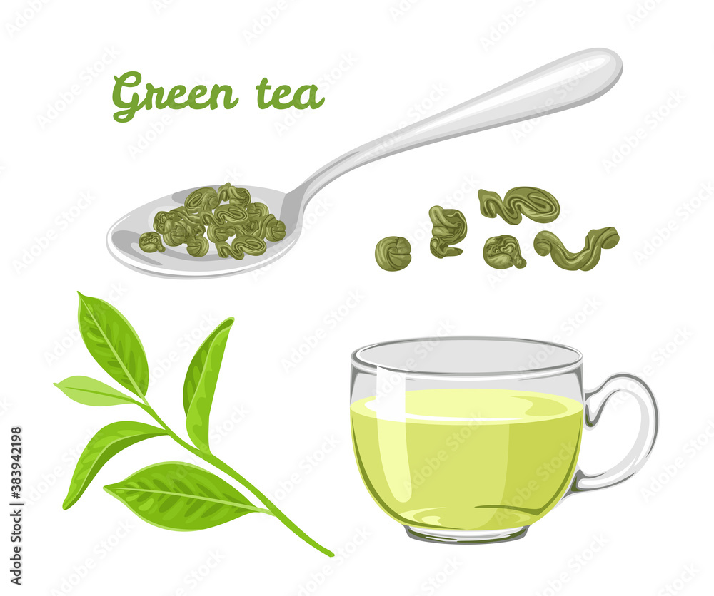 Green tea set. Branch of fresh green tea plants, dried leaves in a ...