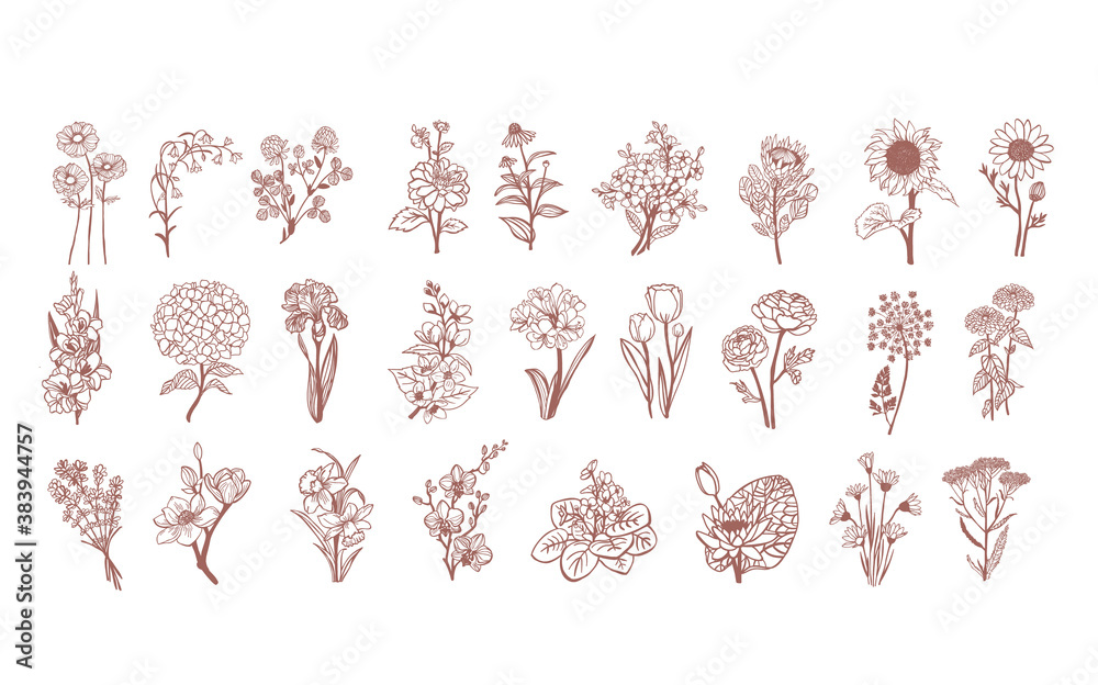 Vector set flowers illustration. 28 elements with botanical flowers ...