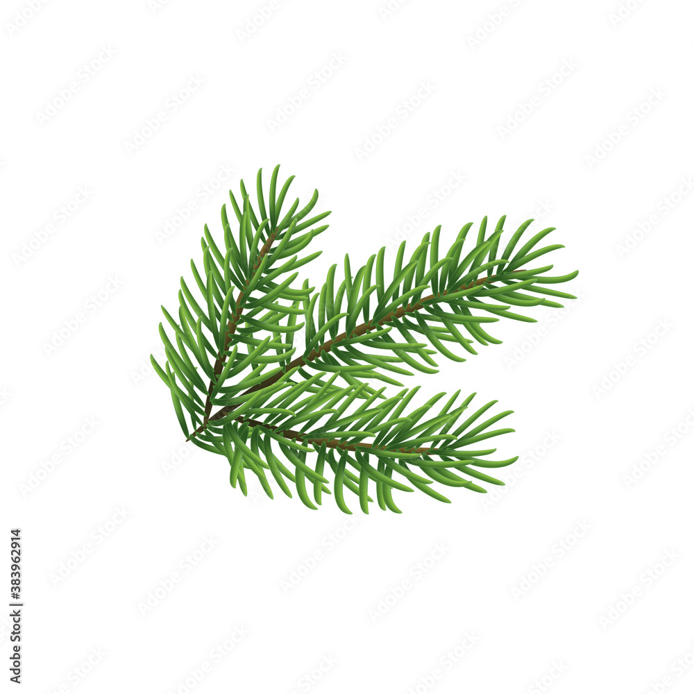 Branch of Christmas tree element isolated on white background. Vector realistic xmas pine ...