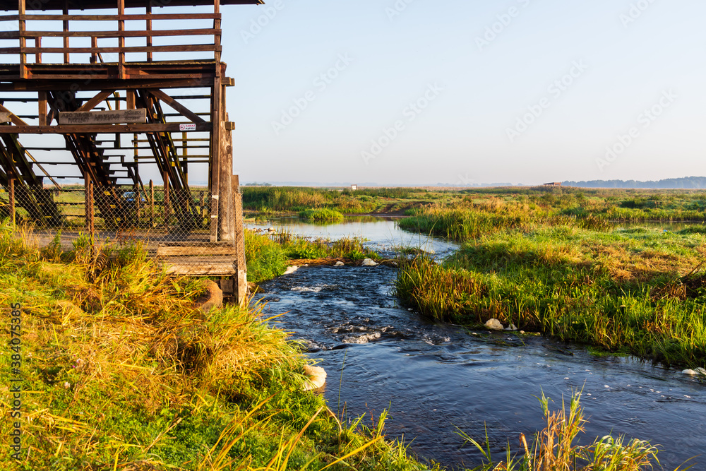 Przystań Waniewo. Narwiański Park Narodowy. Polska Amazonia, Podlasie ...