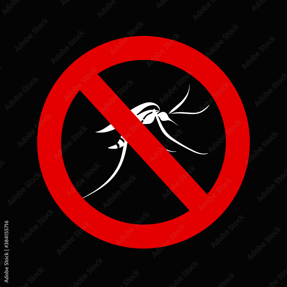 Vector illustration of a dengue mosquito. The danger of dengue ...