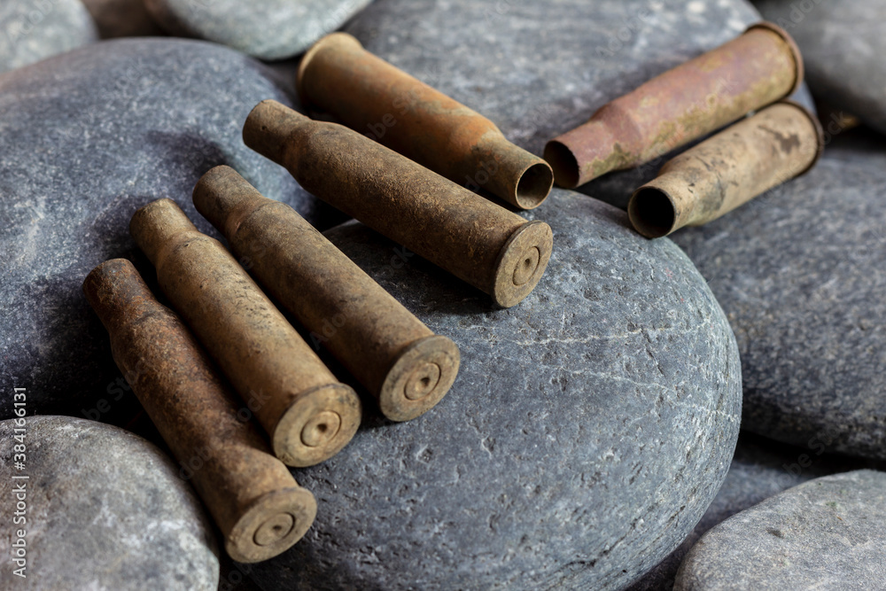 Excavated spent cartridges from the Mosin rifle of the First World War ...
