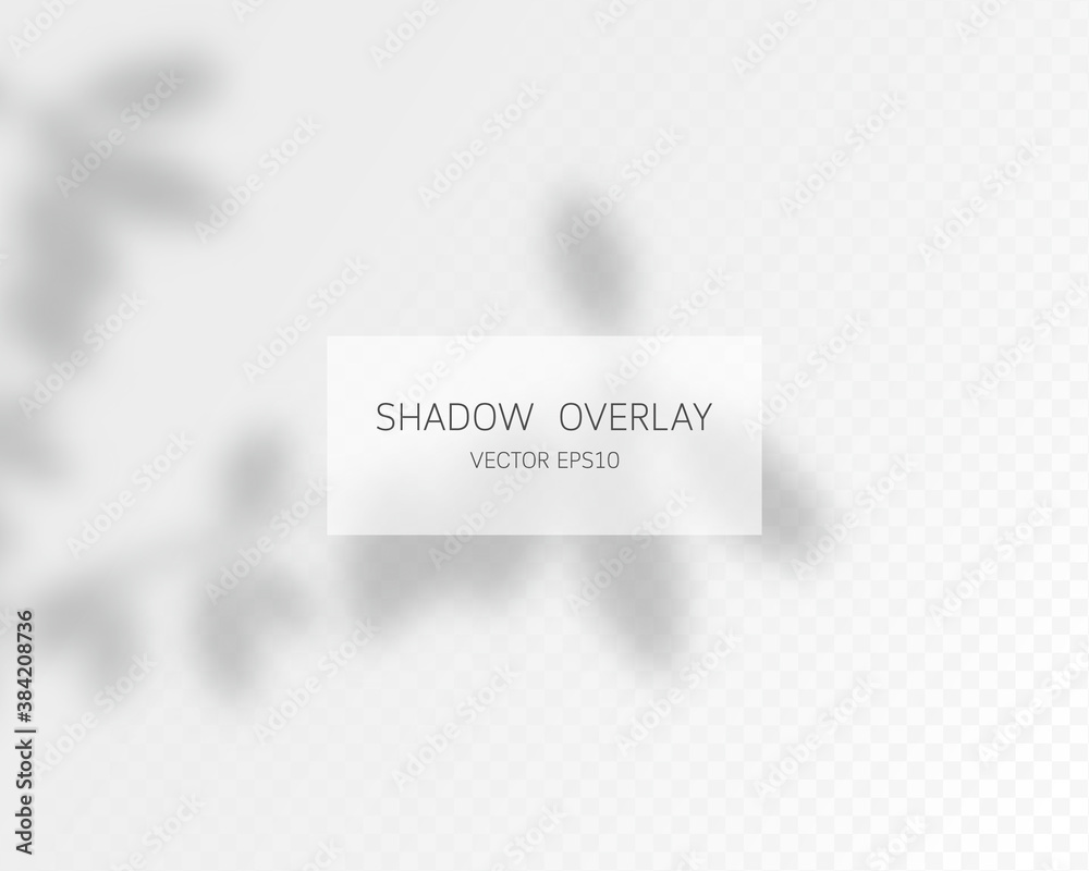 Shadow overlay effect. Natural shadows isolated on transparent ...
