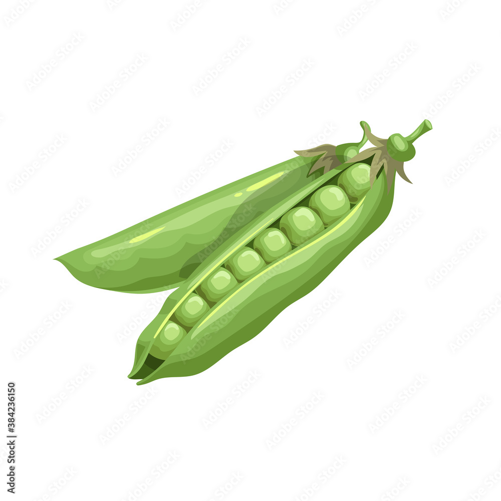 Cartoon green peas. Vegetable group. Fresh farm product. Eco nutrition ...