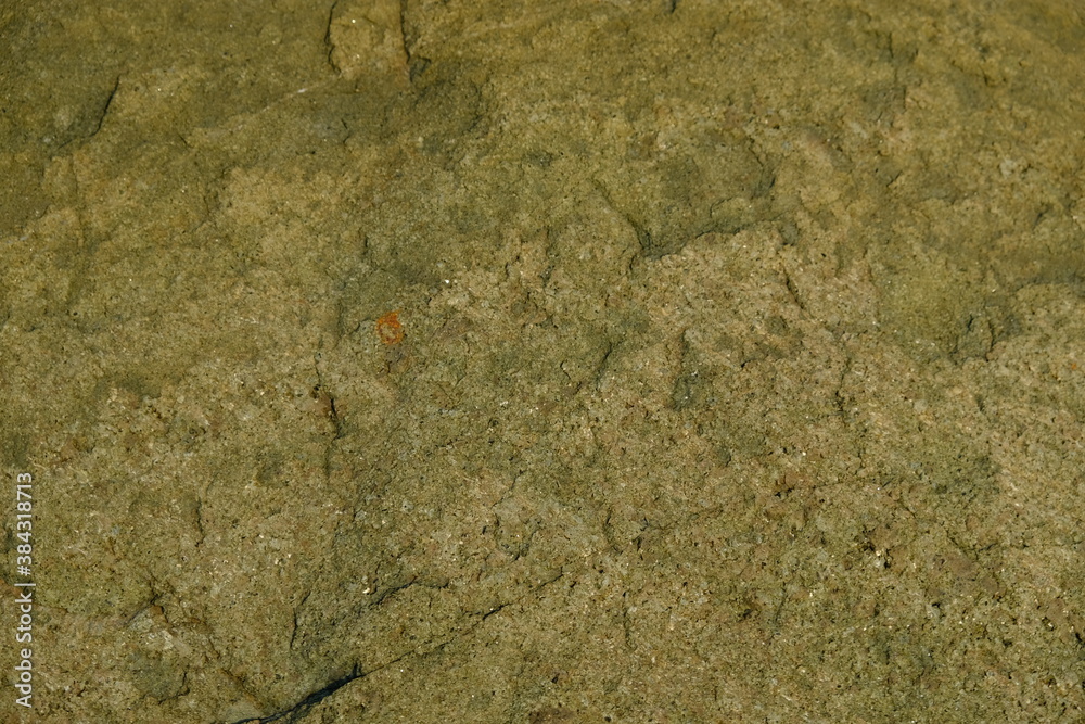 Background from a stone of igneous rock. Wallpaper made of textures of ...