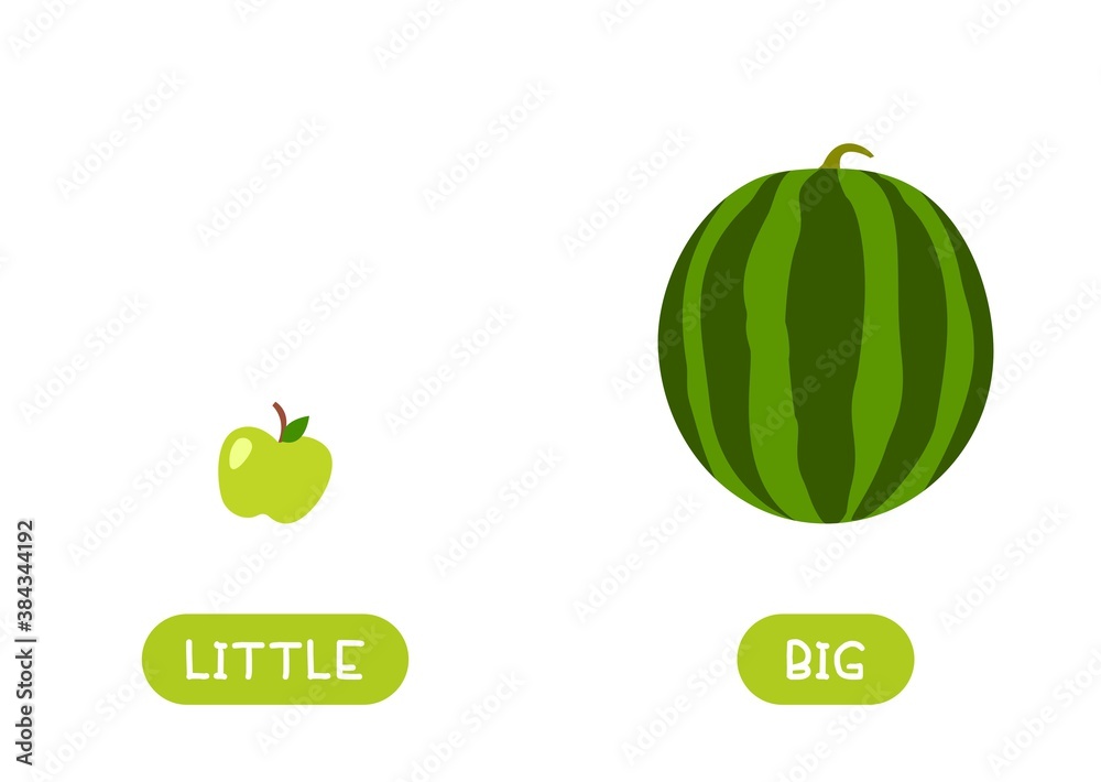 LITTLE and BIG antonyms word card vector template. Flashcard for ...