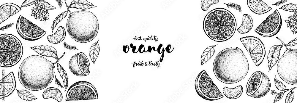 Orange hand drawn vector illustration. Orange sketch for design. Black ...