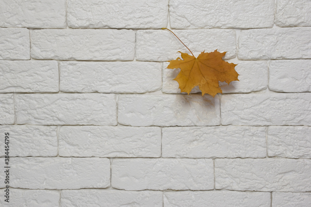 A maple leaf hangs on a light brick wall on the right side. The left ...