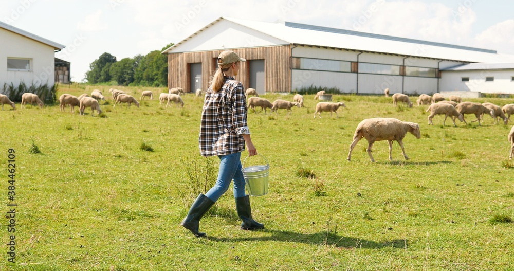 Caucasian young woman shepherd in hat walking in green field and ...