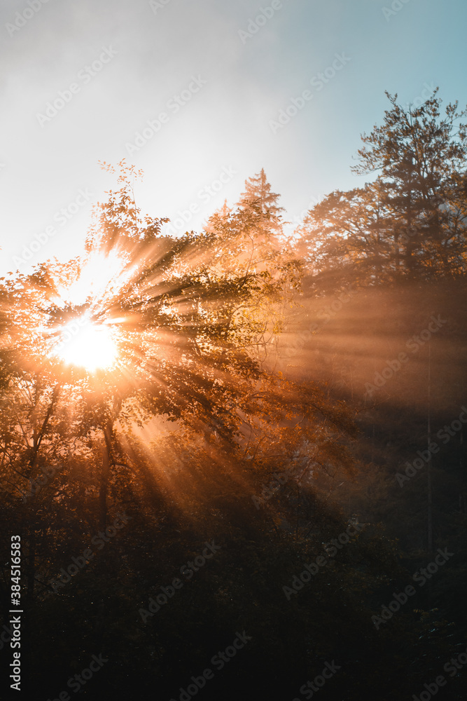 Morning Sunlight Rays