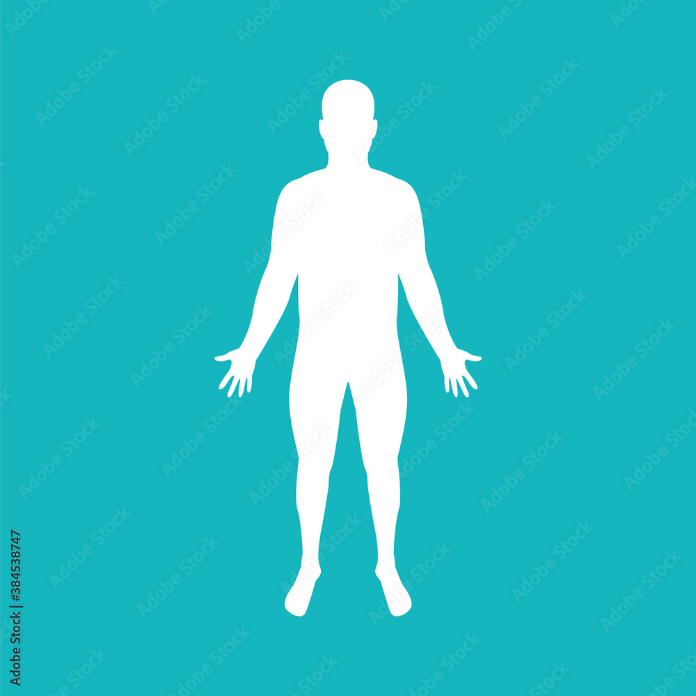 Human body. Male body silhouette. Man symbol. Vector element for design ...