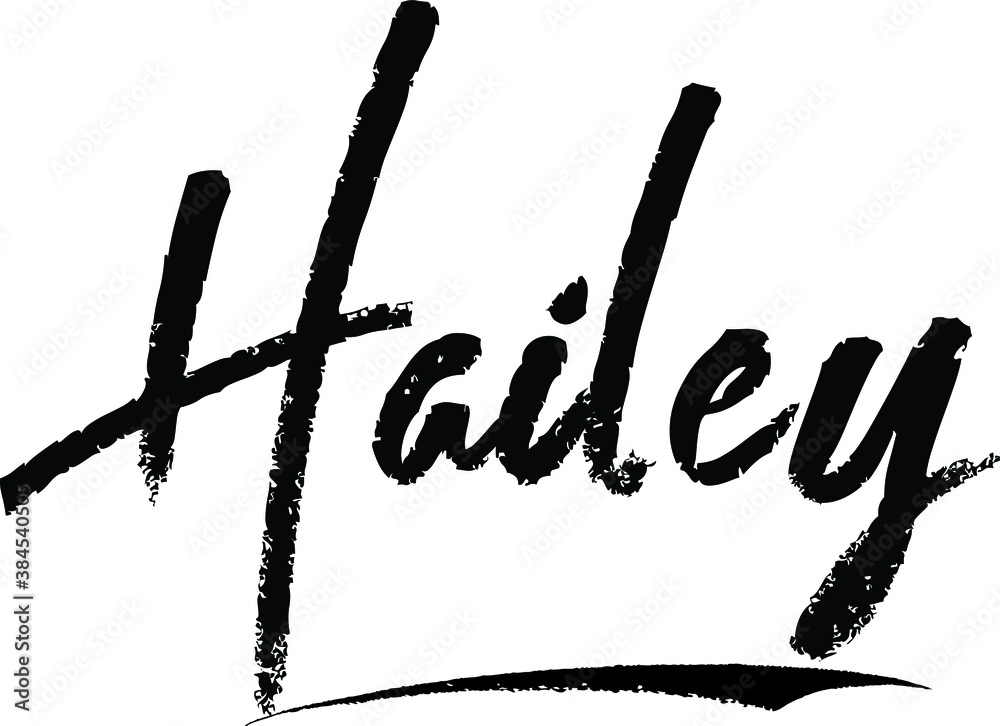 Hailey-Female name Modern Brush Calligraphy on White Background Stock ...