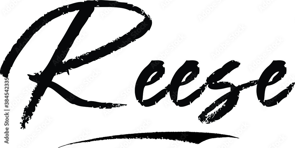 Reese-Female name Modern Brush Calligraphy on White Background Stock ...