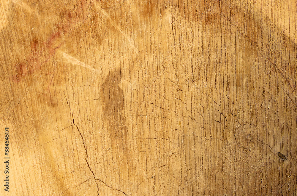 Tree stump texture of the wood. A saw up tree. Cross section oflumber ...