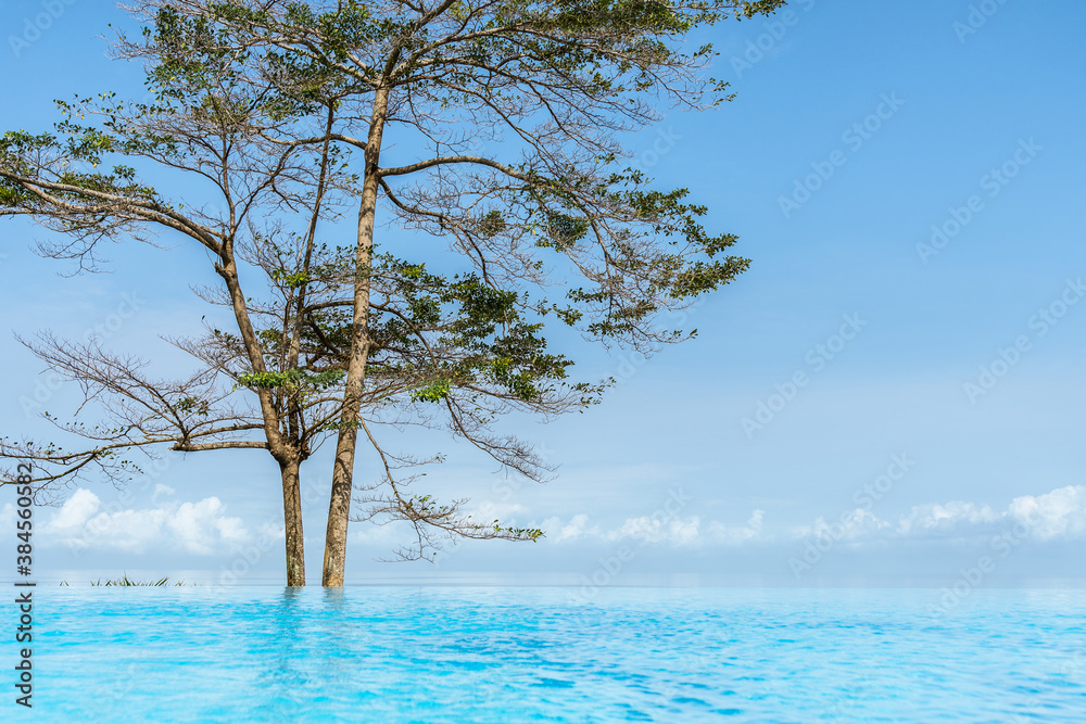 Infinity pool with trees in Zanzibar Stock Photo | Adobe Stock