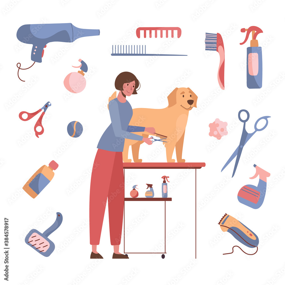 Dog grooming. A woman makes a haircut for golden retriever. Vector ...