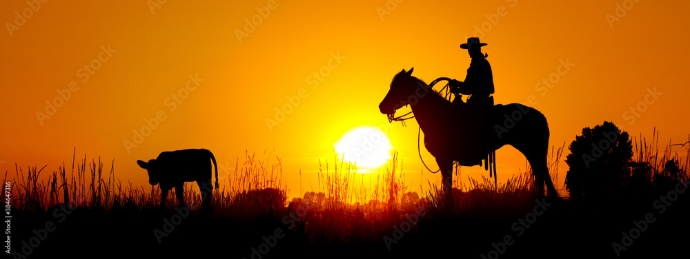 A silhouette of a working cowboy against an evening sunset getting ...