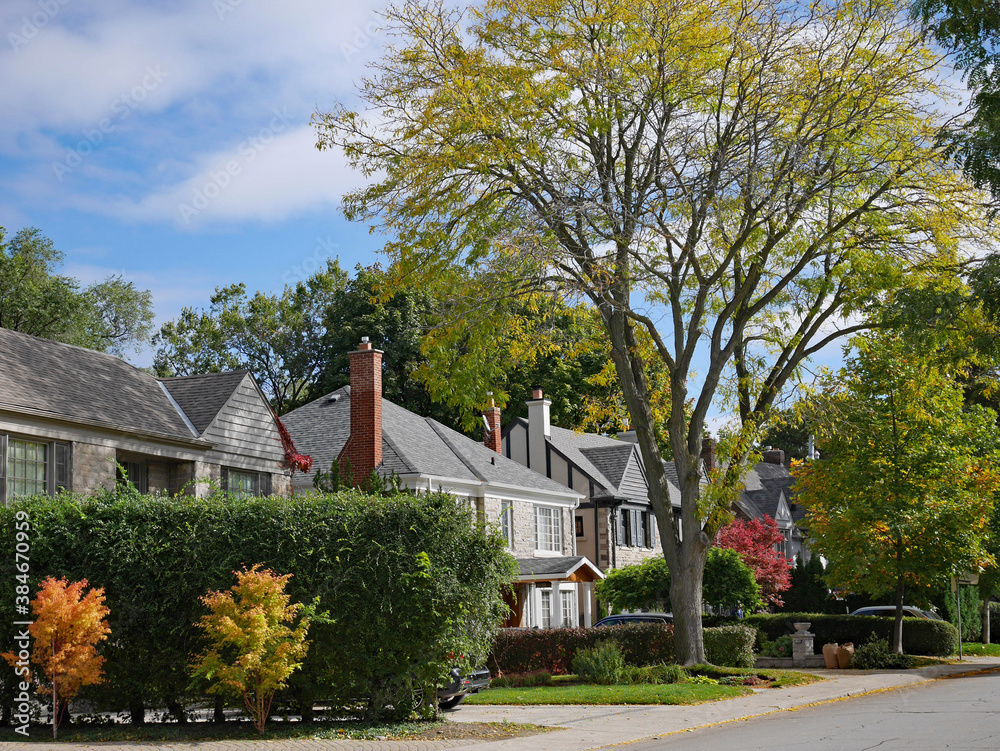 Tree lined suburban street with traditional two story detached houses ...