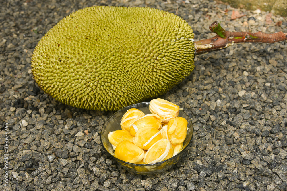 Jack fruit or Jackfruit a Tropical fruit Kerala India or Bali ...