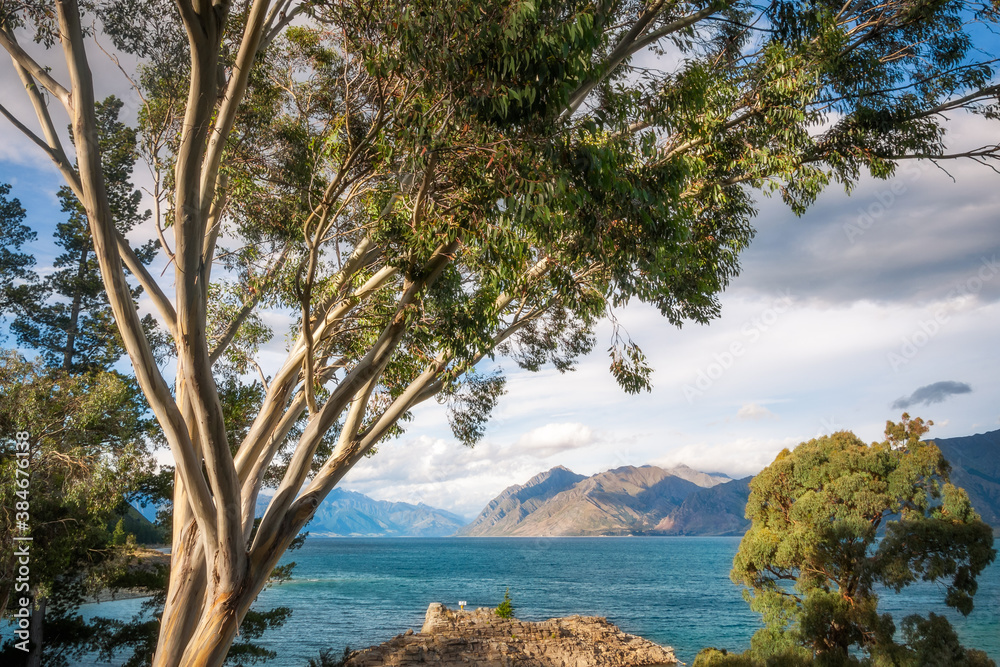 Foto de Lake Hawea view framed between beautiful gum trees side-lit at ...