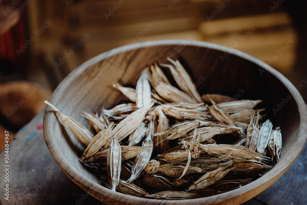 Drying okra seeds for dehydration before collecting and grow next ...