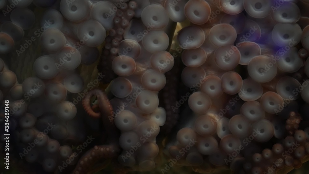 Weird octopus with suckers on arms. Giant squid tentacles macro close ...