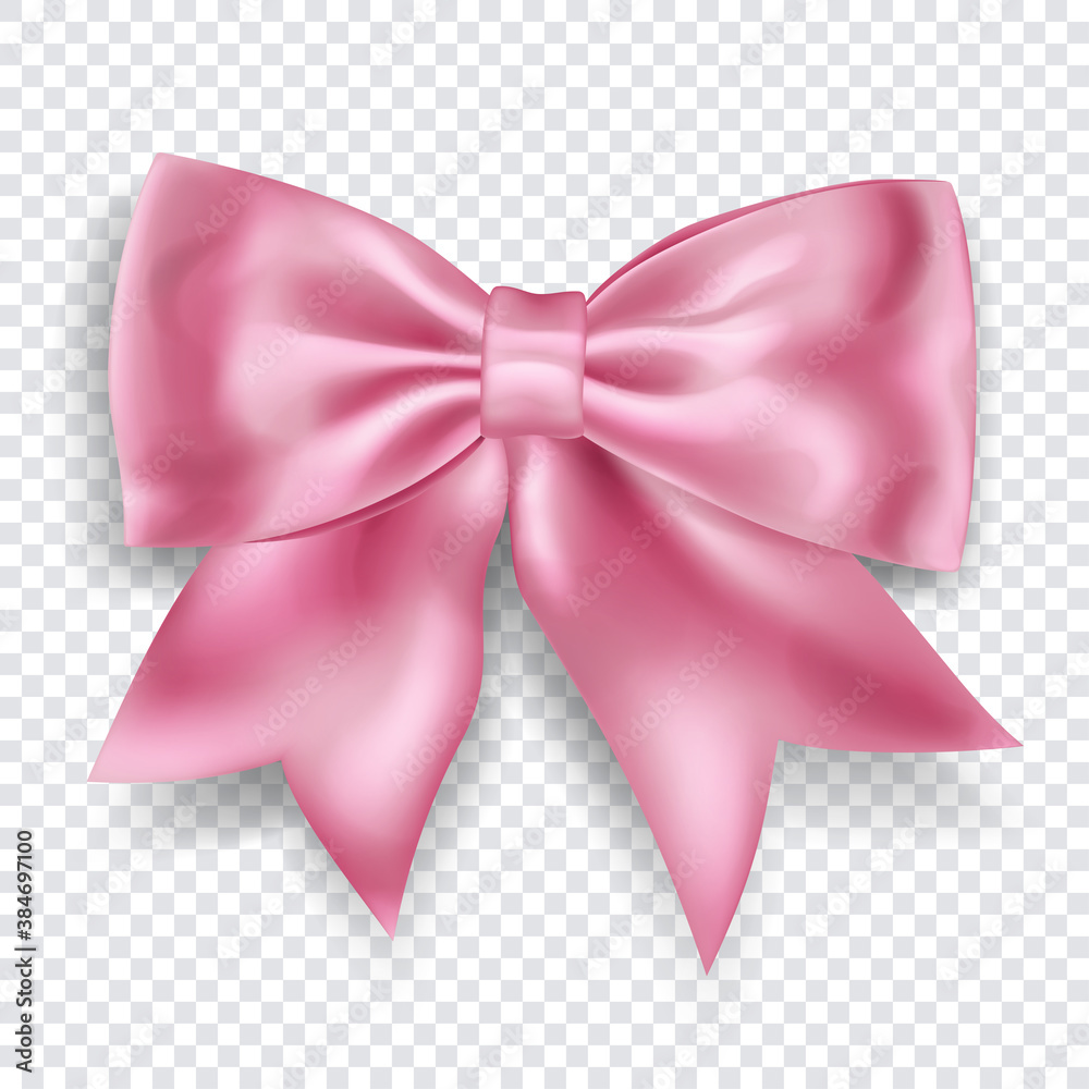 Beautiful big bow made of pink ribbon with shadow on transparent ...