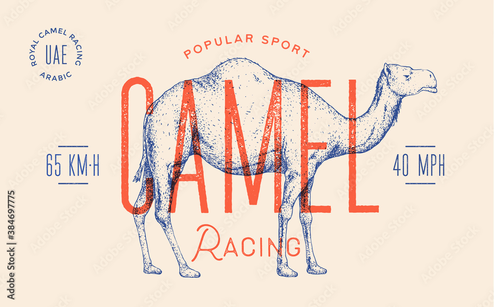 Camel. Template Label. Vintage retro print, tag, label with camel ...