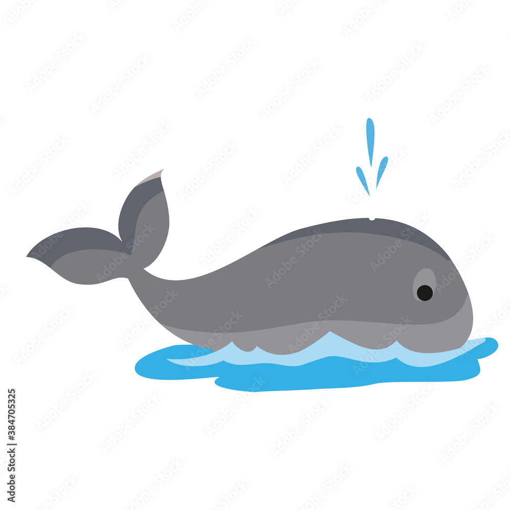 Gray Whale Clip Art