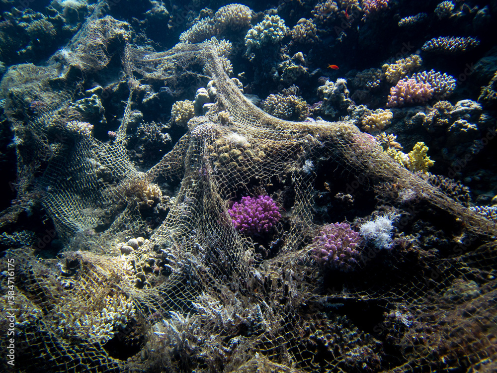 Ghost Fishing Net on Coral Reef Stock Photo | Adobe Stock
