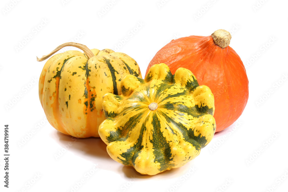 Coloquintes de différentes couleurs sur fond blanc Stock Photo | Adobe ...