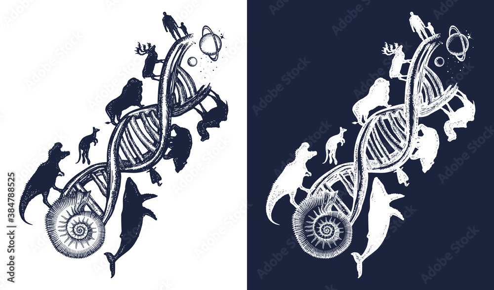 Evolution scale from unicellular organism to mammals. People and ...
