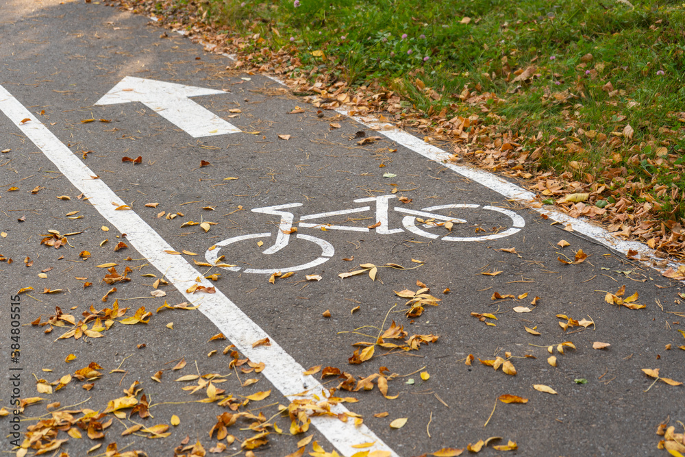Bike path in the autumn Park. A symbol of cycle paths on the pavement ...