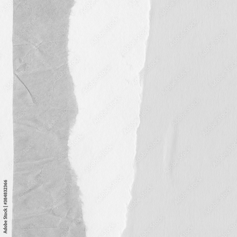 Fotka „White torn paper collage close-up. Texture made from various ...