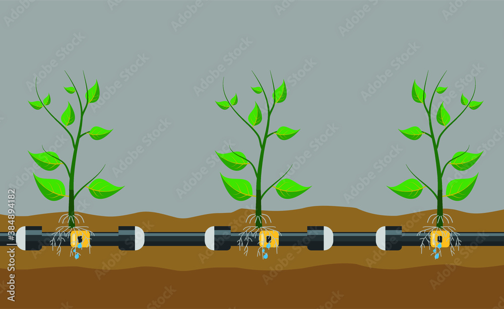 Underground or in ground drip irrigation system. Water irrigation ...
