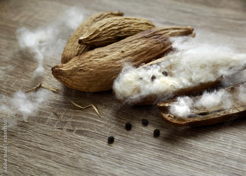 kapok seeds ( ceiba pentandra) on wood texture background Stock Photo ...
