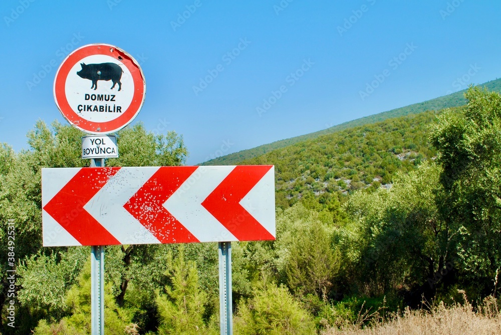 road sign to warn the drivers of possible pig/boar crossing in the ...