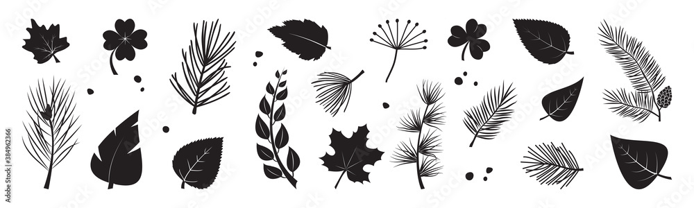 Evergreen Leaves Clipart Background