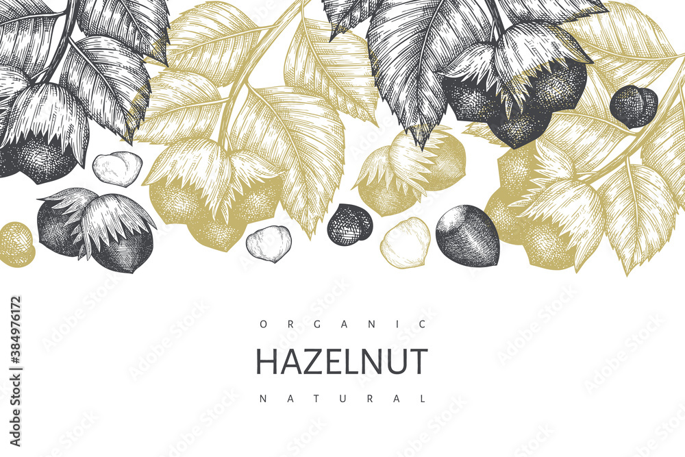 Hand drawn sketch hazelnut design template. Organic food vector ...