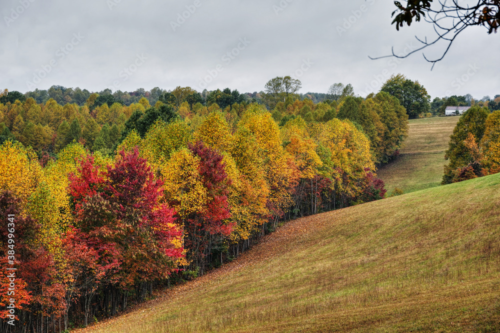 Fall foliage in Ohio during the month of October. Stock Photo | Adobe Stock