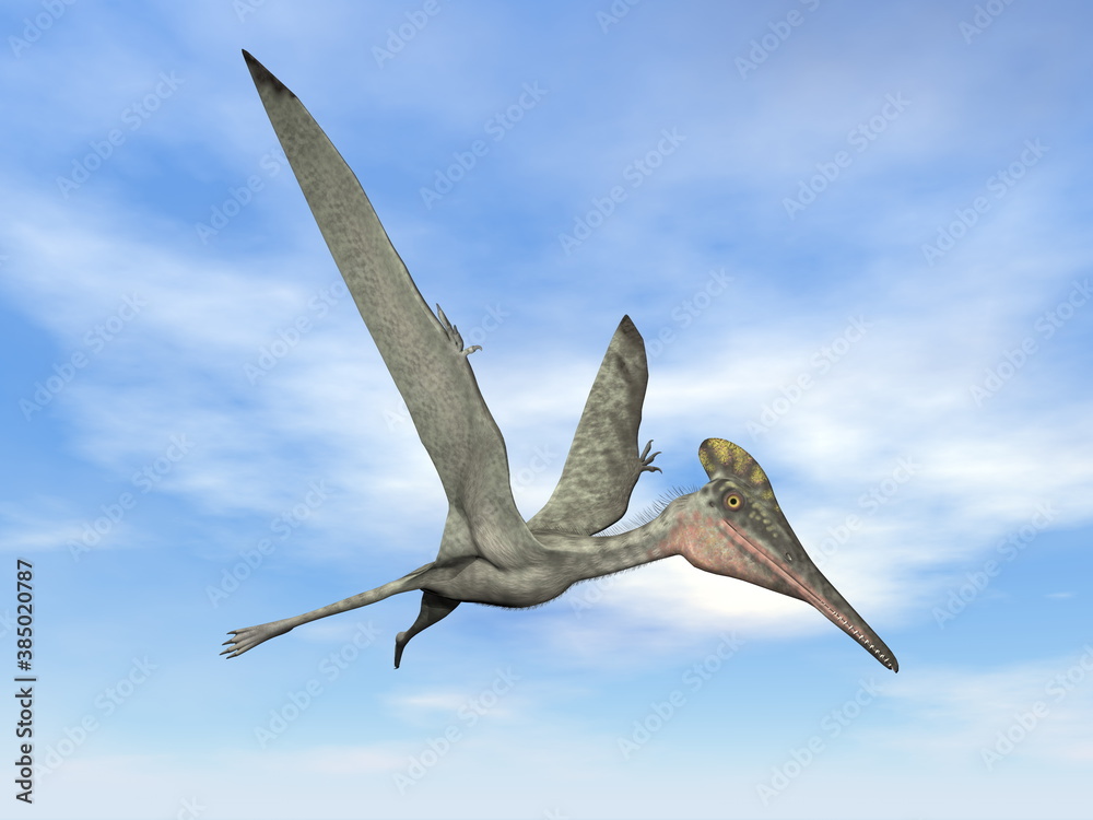 Pterodactylus prehistoric bird flying in the blue sky - 3D render Stock ...